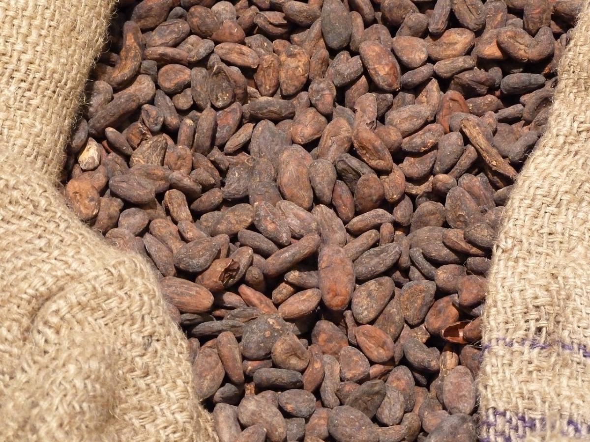 Quels sont les pays où la consommation de chocolat est la plus élevée ... Quels sont les pays où la consommation de chocolat est la plus élevée ...